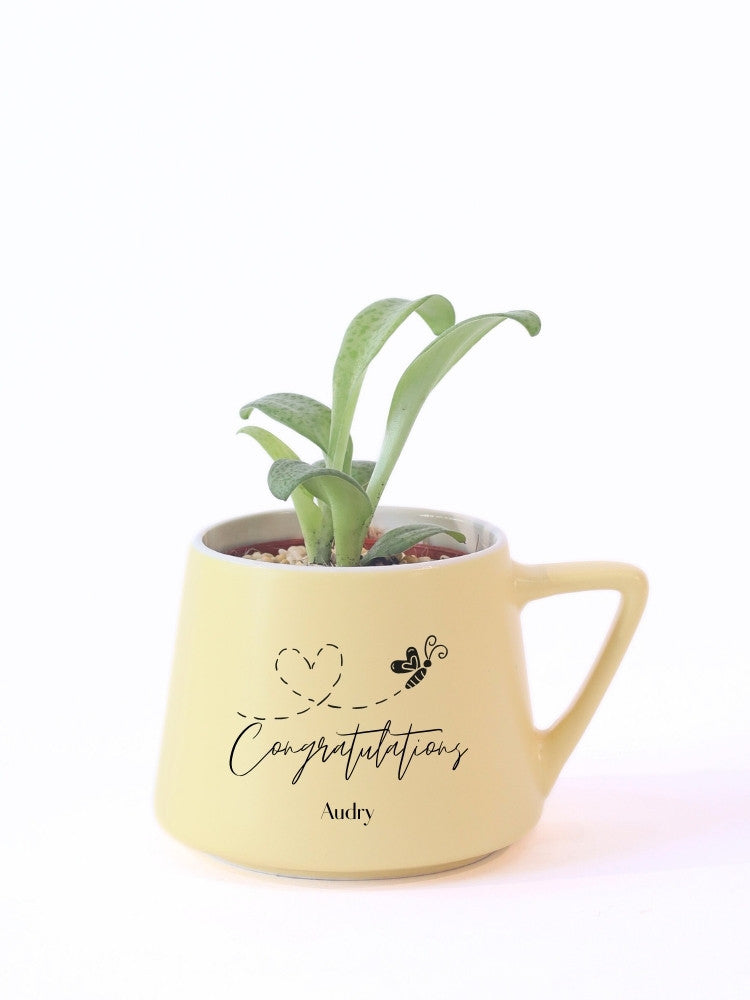 Customize Congratulation Plant Gift – Granny Doris